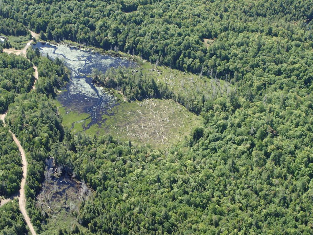 “Save the Michigamme Highlands” Public Forum | Mining Action Group