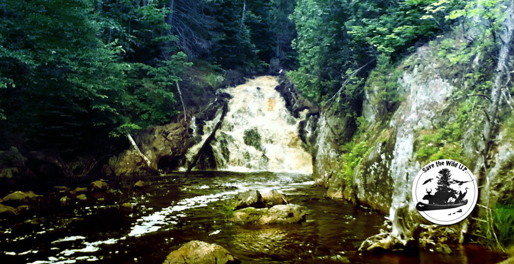 Guided Hike to Pinnacle Falls with Save the Wild U.P. | Mining Action Group